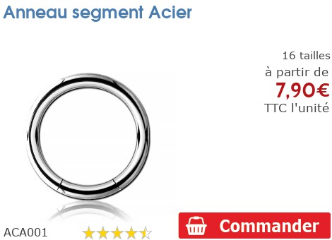 Anneau segment Acier - ACA001