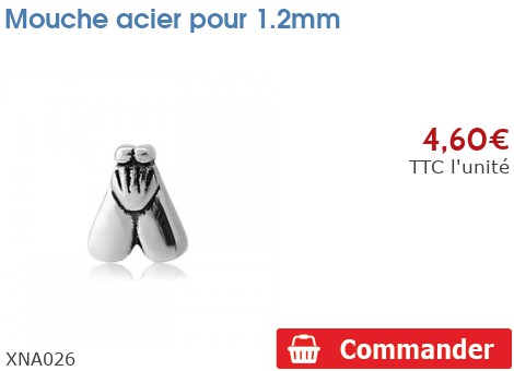 Mouche acier pour 1.2mm - XNA026
